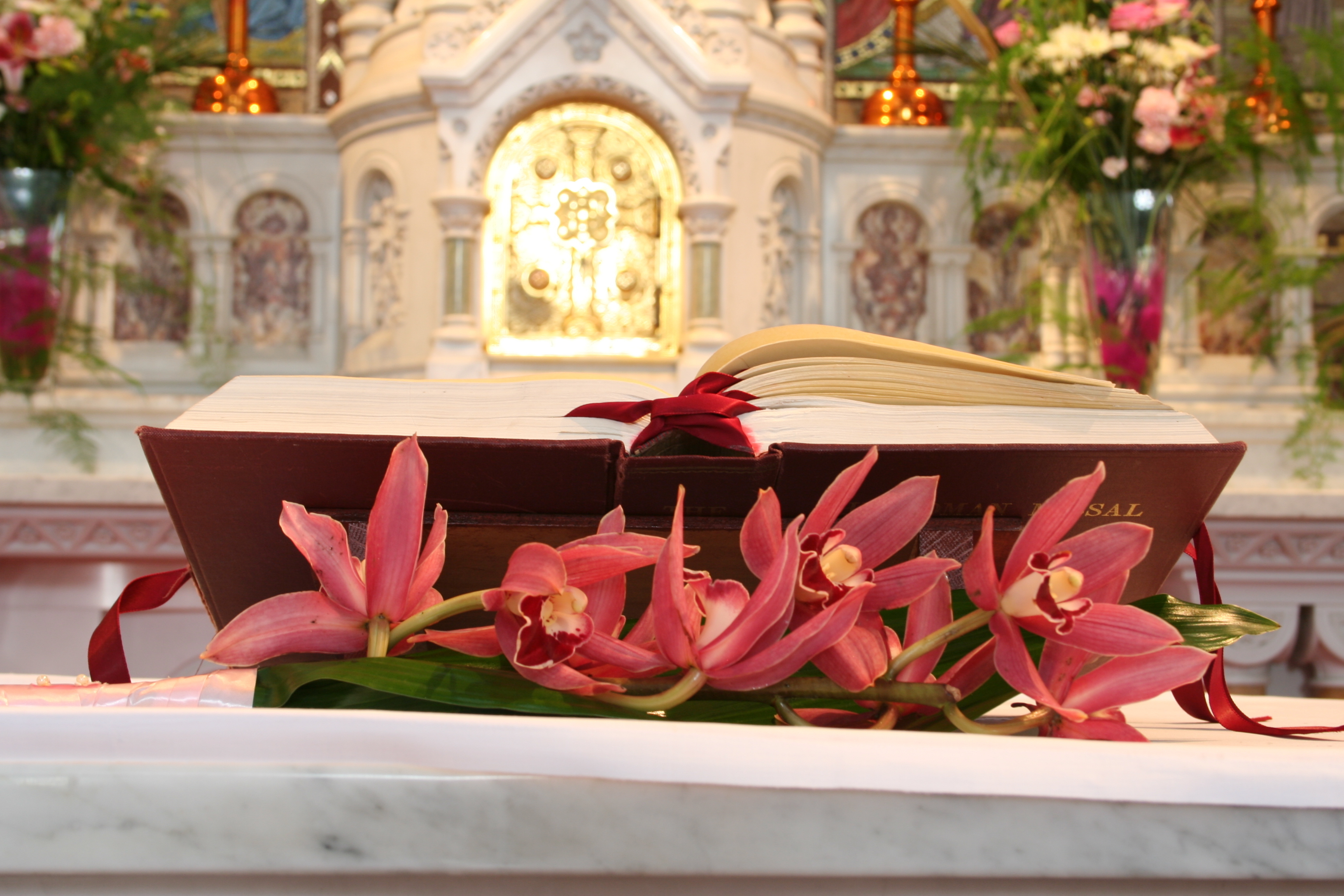 Until Christ be Formed in You - CATECHIST Magazine