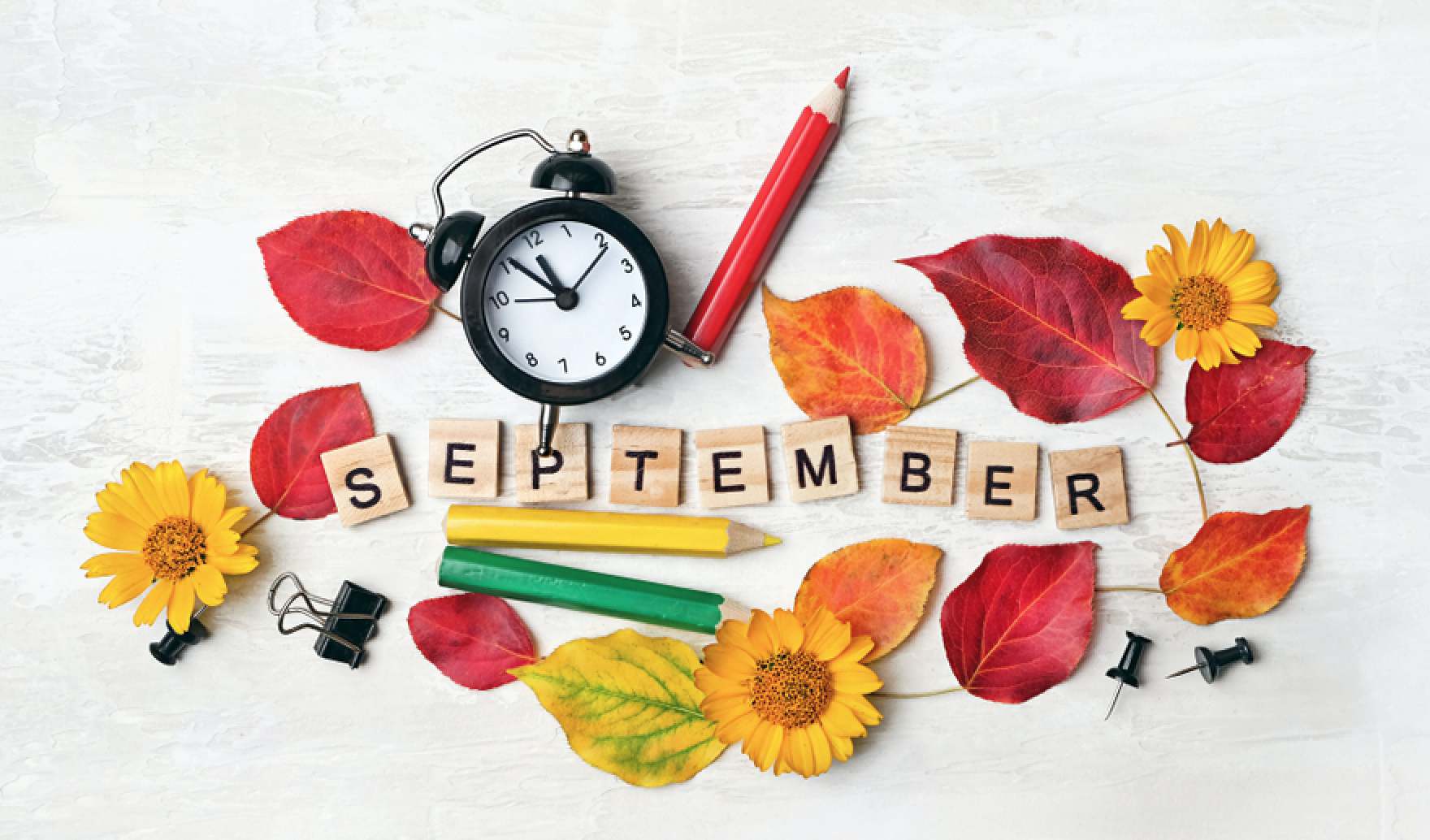 Beginnings — Opportunities (A free downloadable activity) - CATECHIST ...