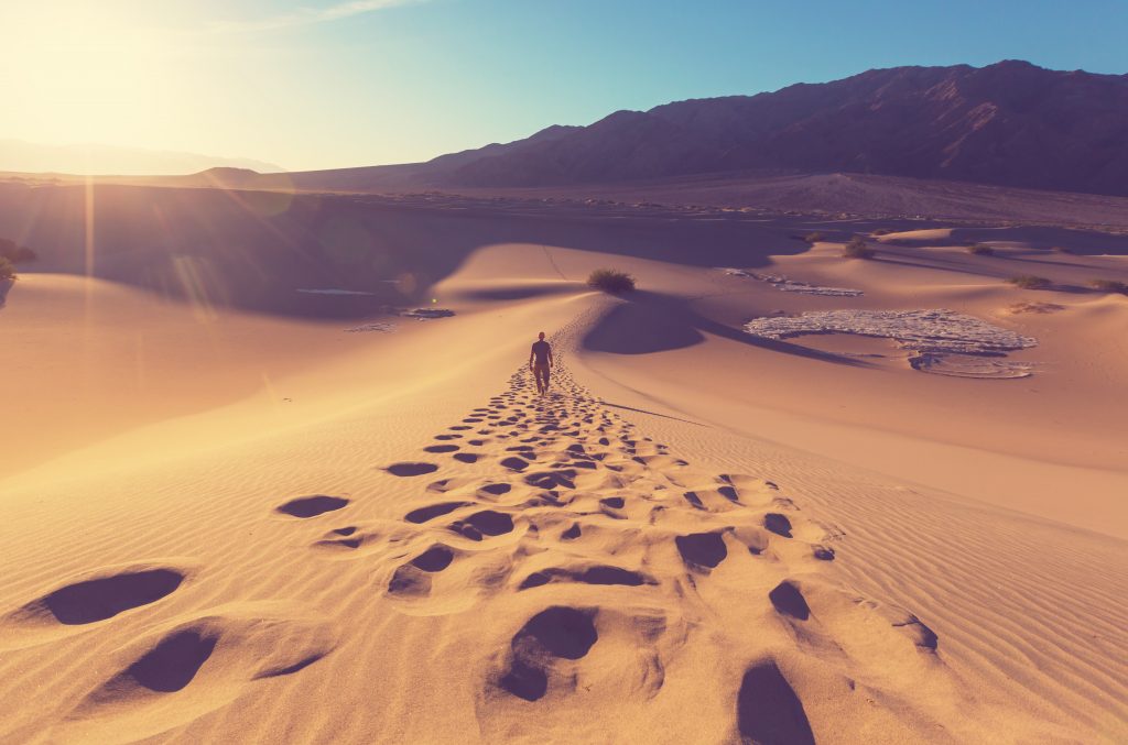 Out of the Desert: Through Crises of Faith - CATECHIST Magazine