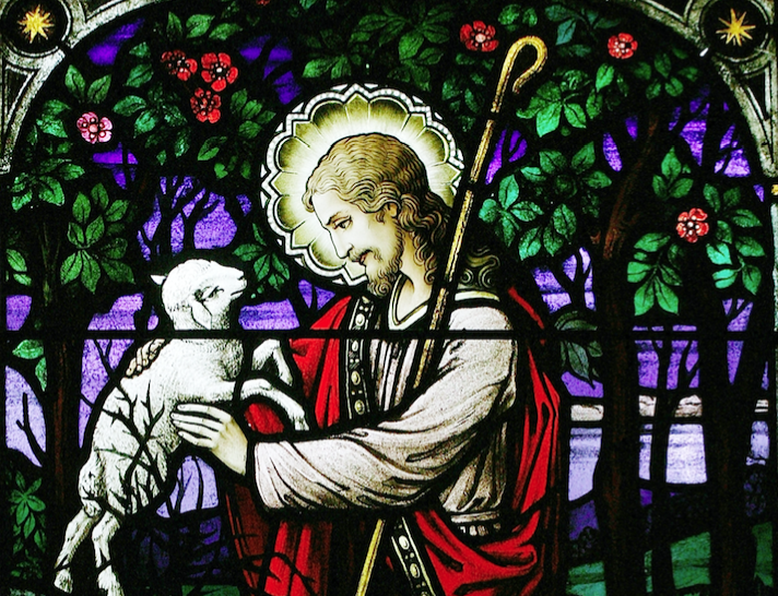 To Seek and Save the Lost: Unpacking the parable of the lost sheep ...