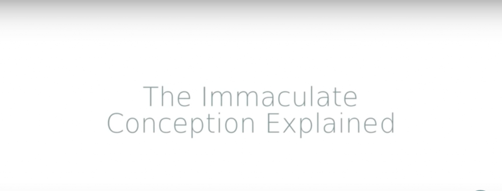 The Immaculate Conception Explained Video Catechist Magazine