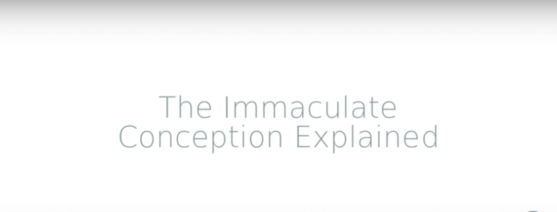 The Immaculate Conception Explained (video) - CATECHIST Magazine