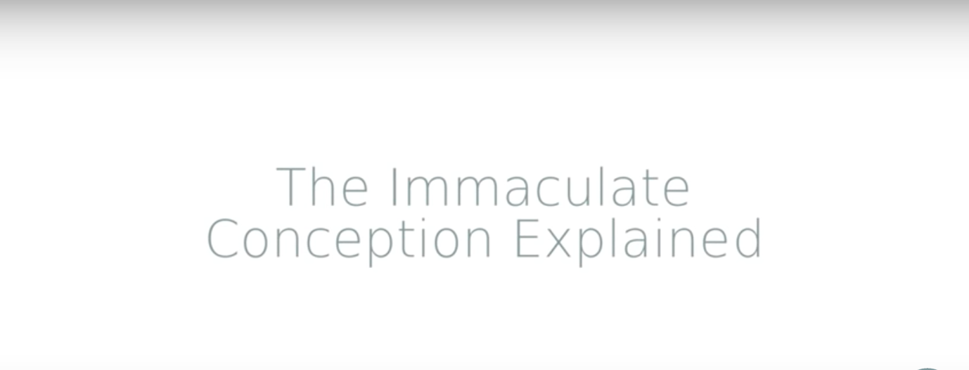The Immaculate Conception Explained Video Catechist Magazine