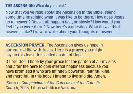 Living the Liturgical Year-The Ascension (free downloadable activity ...