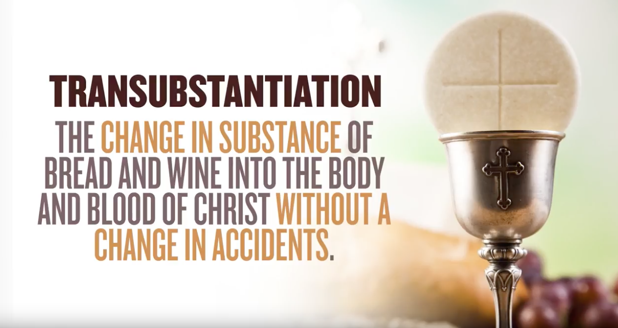 Catholic Central The Real Presence Of The Eucharist Video 7 Mins