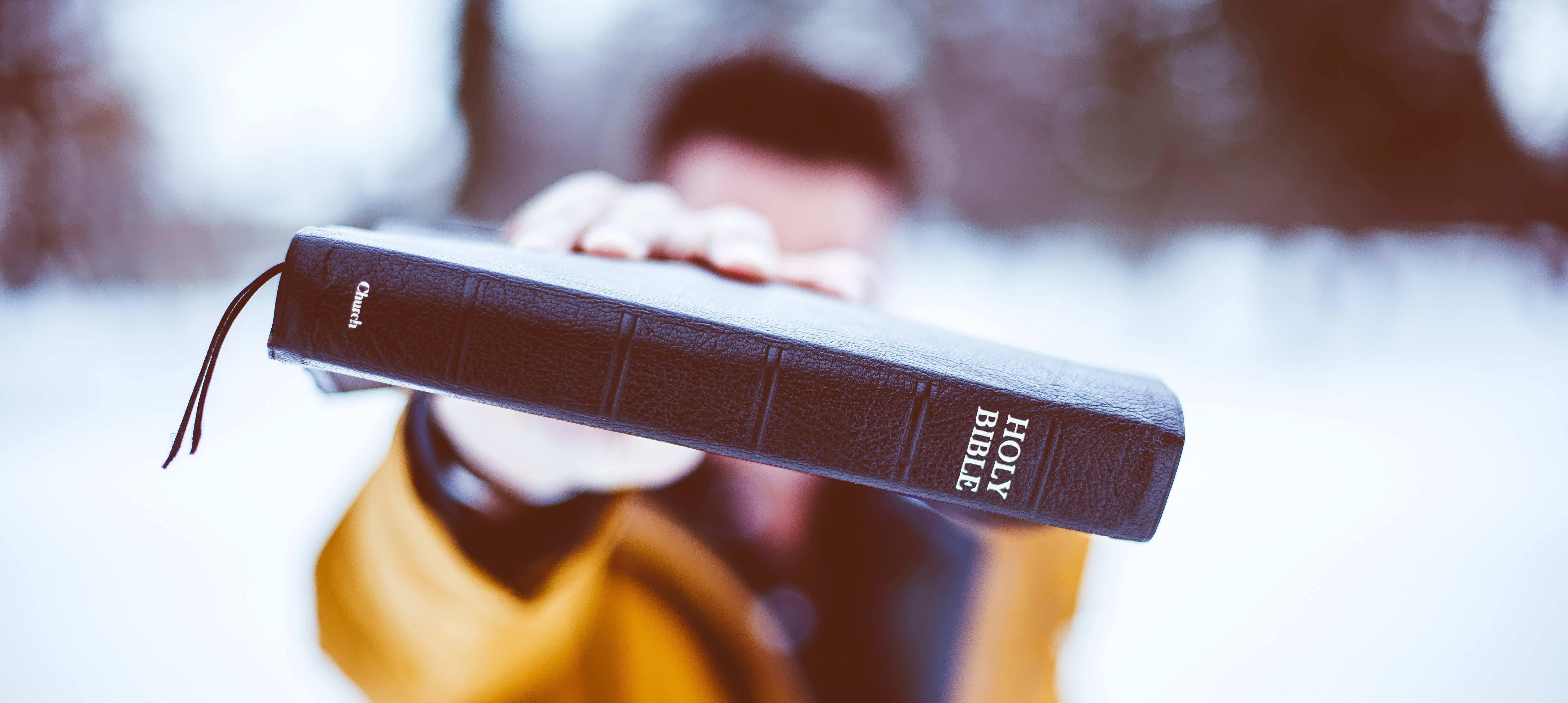 Catholic I.Q. — Test Your Bible Knowledge - CATECHIST Magazine