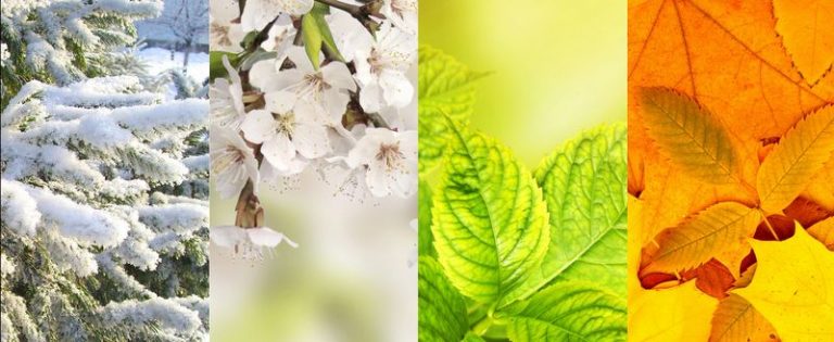 Pros and Cons of a Year-Round RCIA Program - CATECHIST Magazine