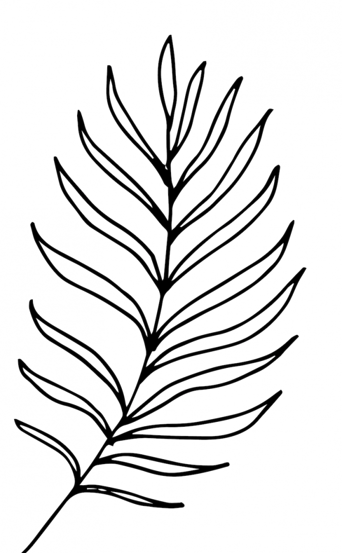 Children's Liturgy of the WORD for PALM SUNDAY - CATECHIST Magazine